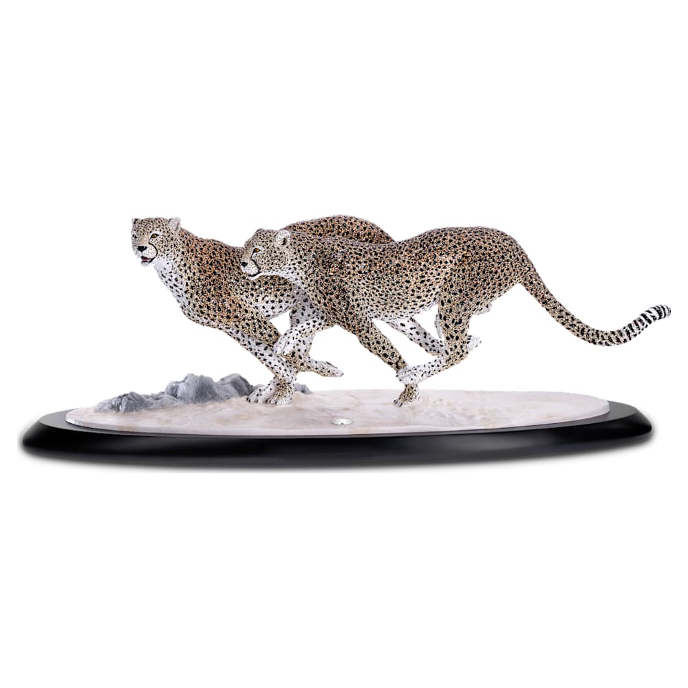 Crystal Myriad Asuga | Swarovski